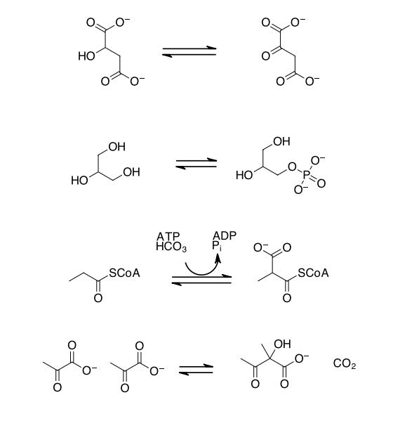 Solved Identify the name of the cofactor for each of the | Chegg.com