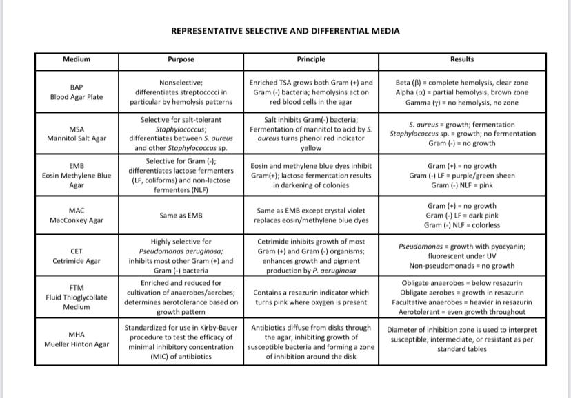 Solved SELECTIVE & DIFFERENTIAL MEDIA REFERENCES TEXT: PPT: | Chegg.com