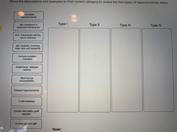 Solved Move the descriptions and examples to their correct | Chegg.com