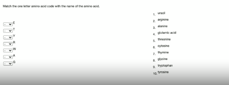 Solved Match the one letter amino acid code with the name of | Chegg.com
