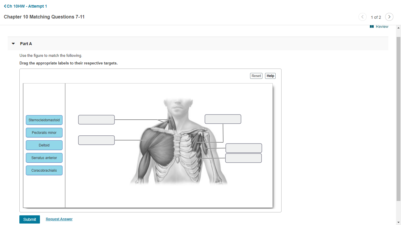 Solved Question | Chegg.com