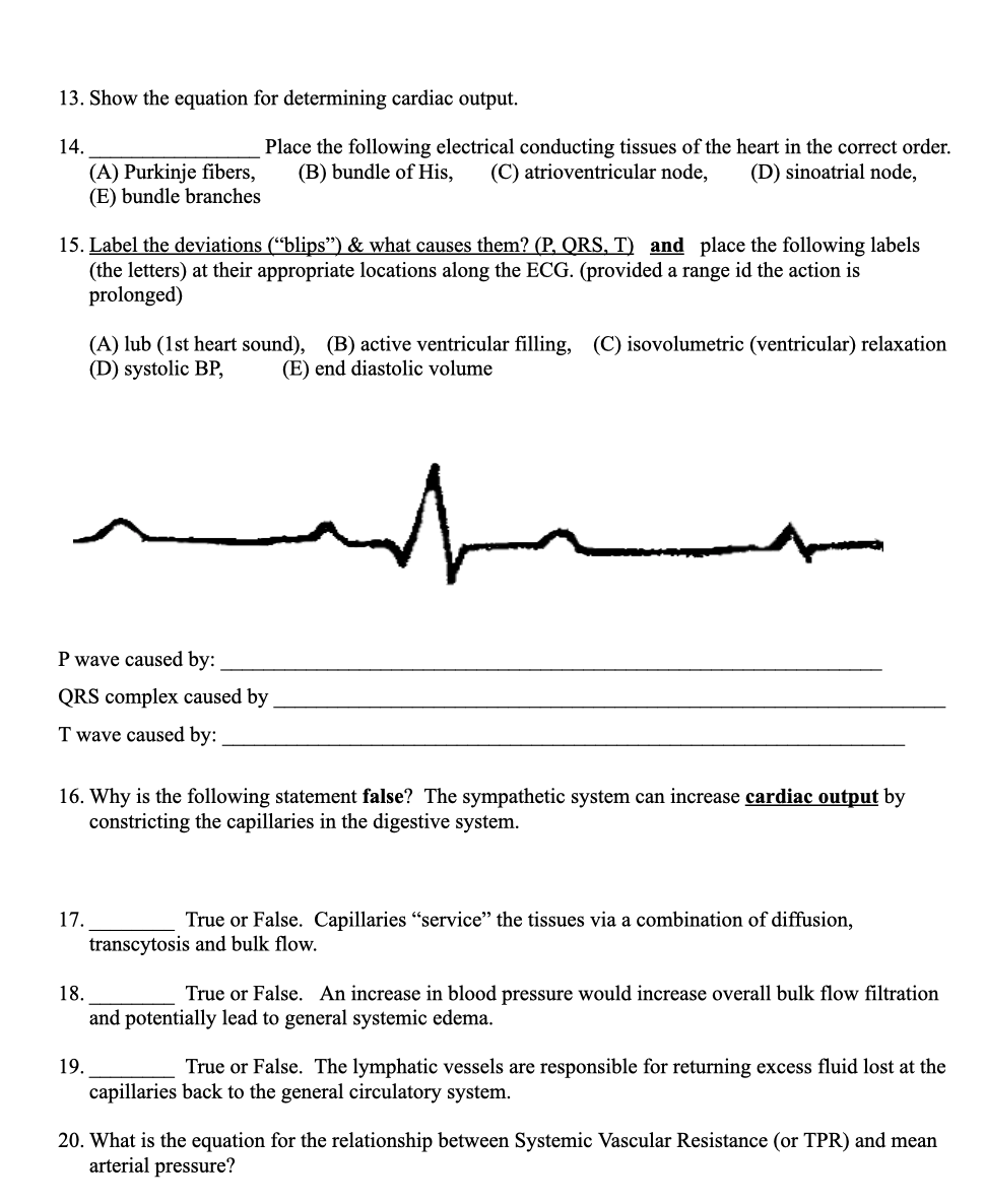 Solved 13. Show the equation for determining cardiac output. | Chegg.com