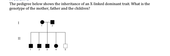 Solved The pedigree below shows the inheritance of an | Chegg.com