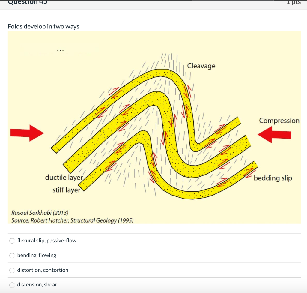 Solved Question 64 1 pts Based on the rule of V for geologic | Chegg.com
