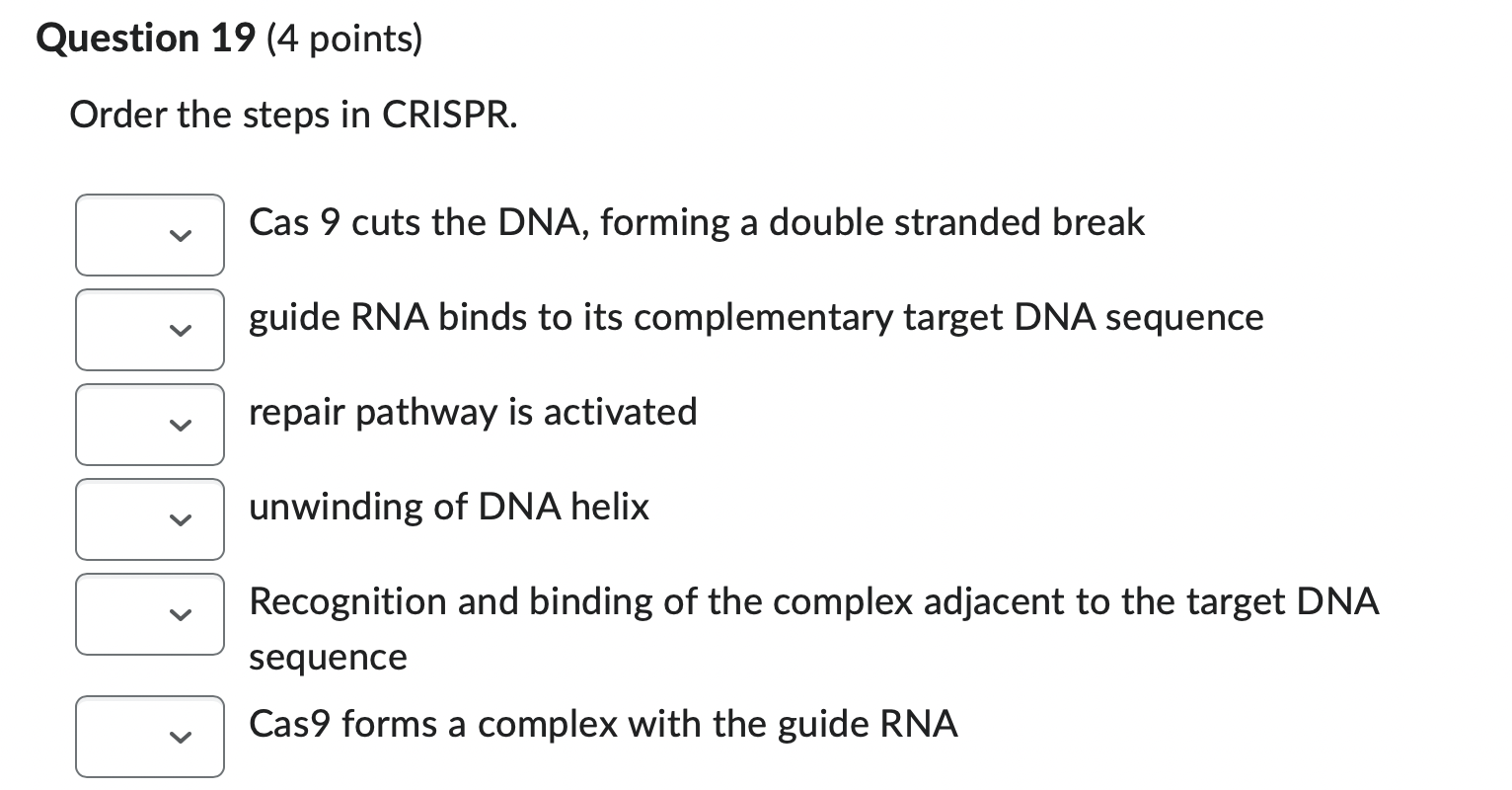 Solved Question 19 (4 points) Order the steps in CRISPR. Cas | Chegg.com