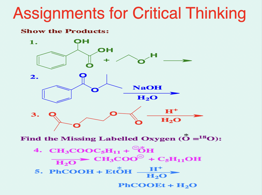Solved Assignments for Critical Thinking Show the Products: | Chegg.com