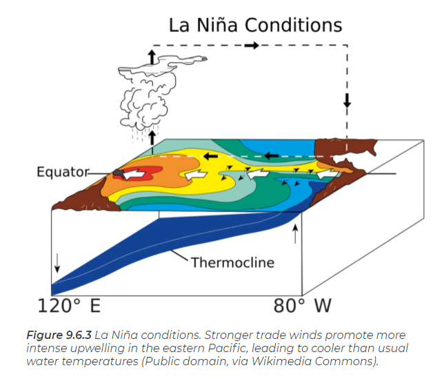 Solved Construct three sketches of cross-sections of | Chegg.com