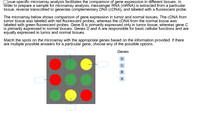 Solved ssue-specific microarray analysis facilitates the | Chegg.com