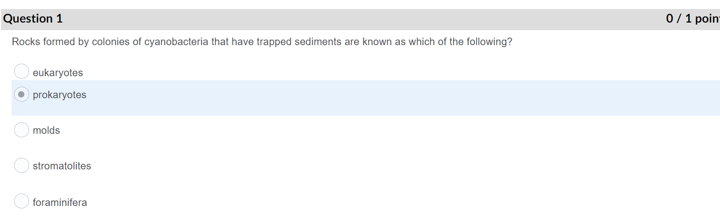 Solved Question 1 0 / 1 poin Rocks formed by colonies of | Chegg.com
