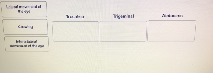 Solved Drag each cranial nerve function to the name of the | Chegg.com Solved Drag each cranial nerve function to the name of the | Chegg.com