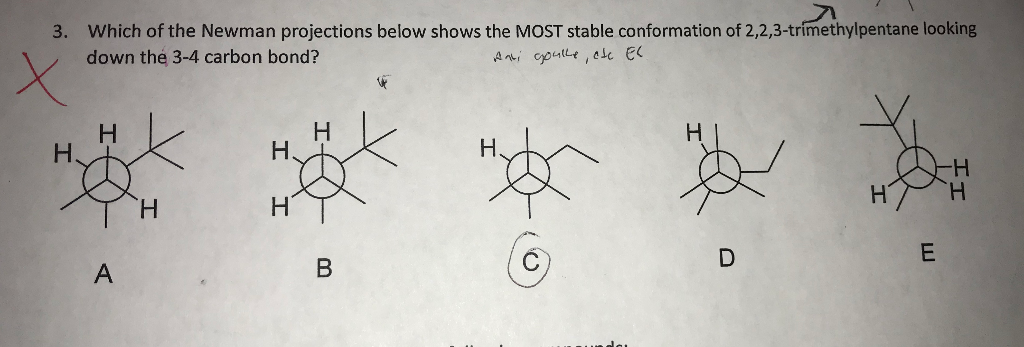 Solved Which of the Newman projections below shows the MOST | Chegg.com