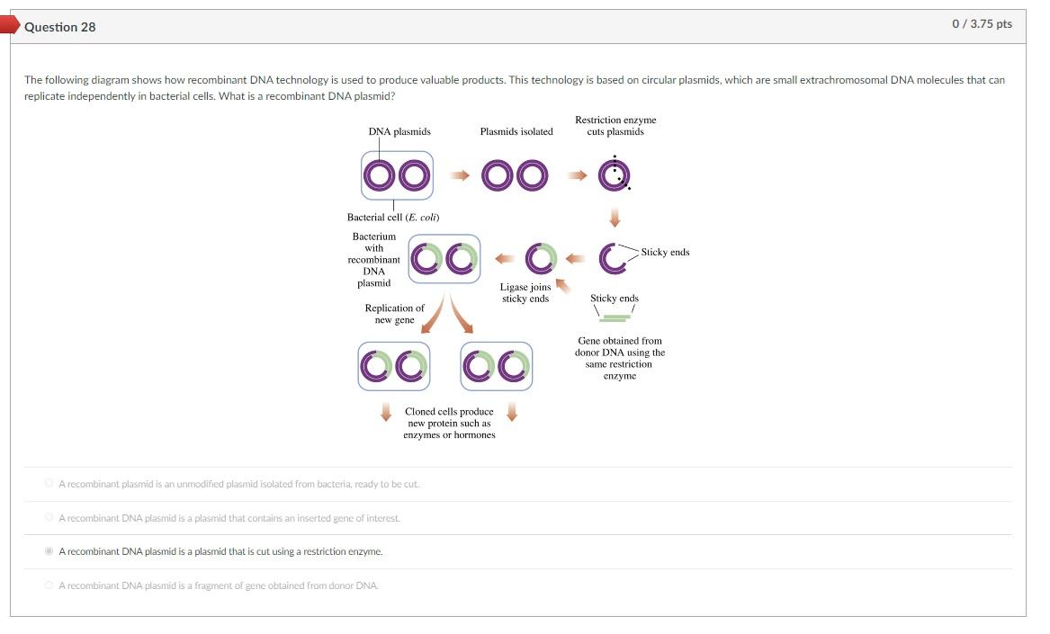 Solved The following diagram shows how recombinant DNA | Chegg.com