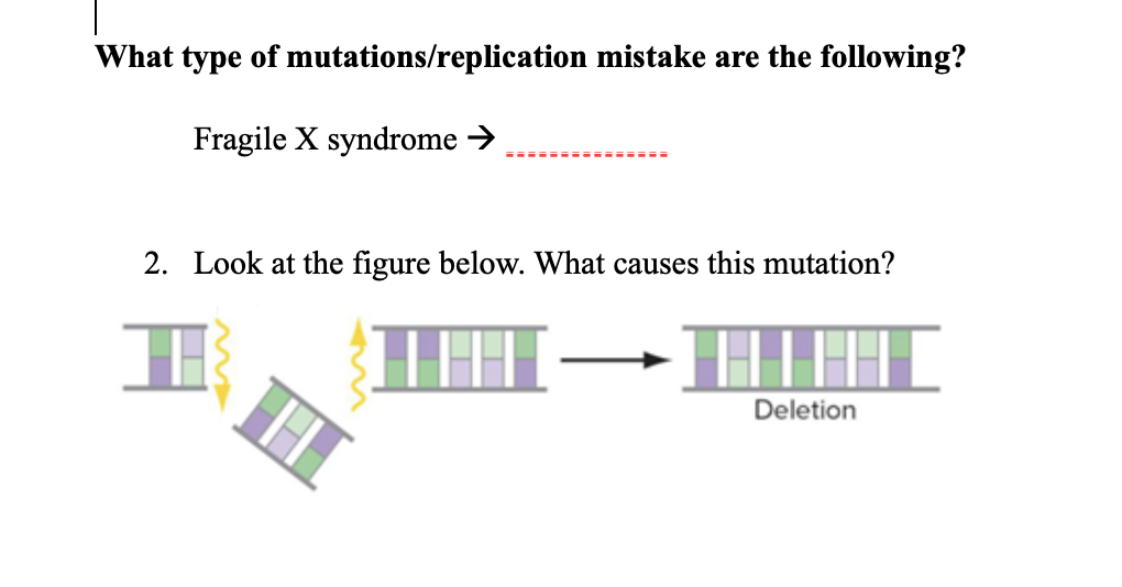 Solved What type of mutations/replication mistake are the | Chegg.com
