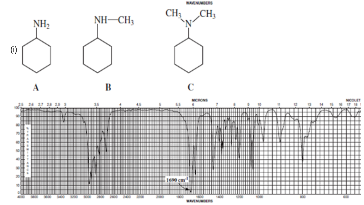 Solved 10 CH; CHz MCH3 3 H CH CH3 А 23 24 22 23 24 2_ CH3 | Chegg.com