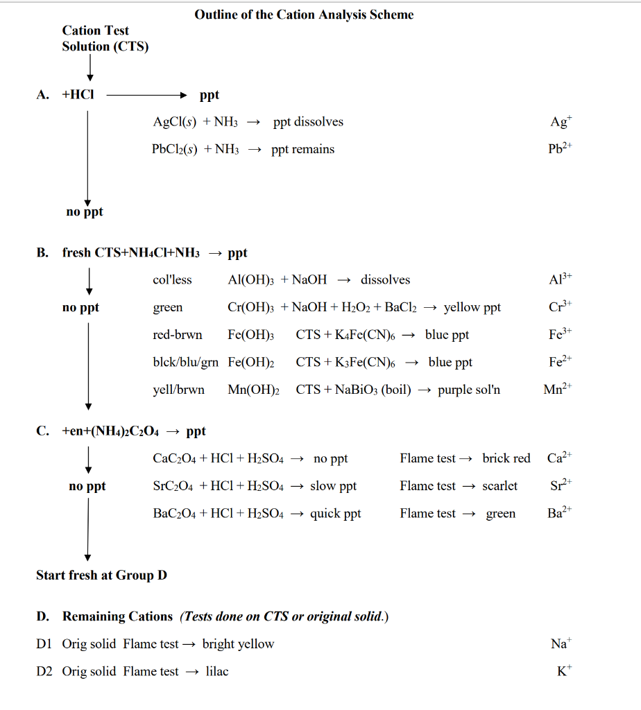 Solved Outline of the Cation Analysis Scheme Cation Test | Chegg.com
