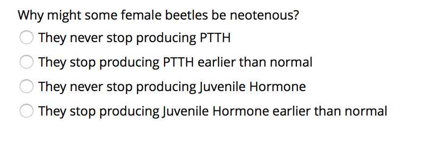 Solved Why might some female beetles be neotenous? They | Chegg.com