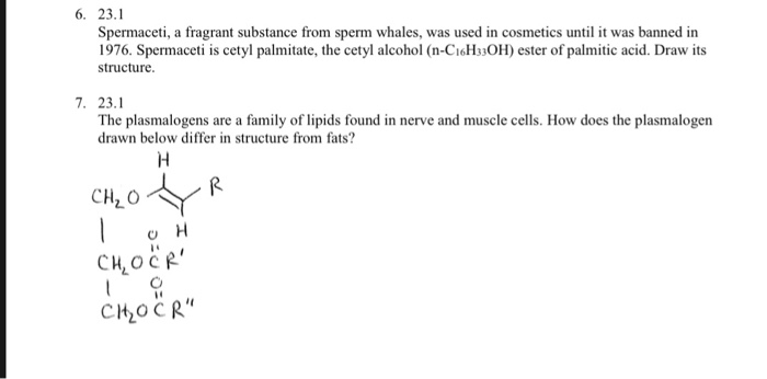 Spermaceti Structure