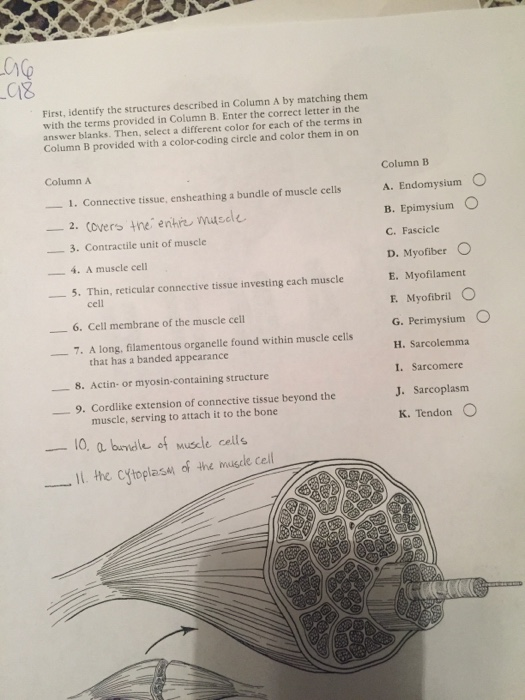 Solved AC First, identify the structures described in Column | Chegg.com
