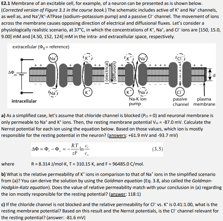 Solved E2.1 Membrane of an excitable cell, for example, of a | Chegg.com
