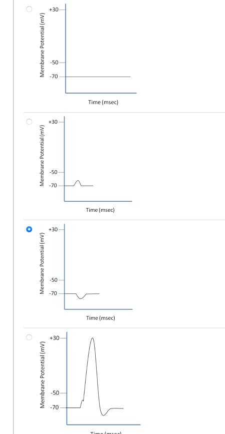 Solved The illustration below depicts multiple presynaptic | Chegg.com