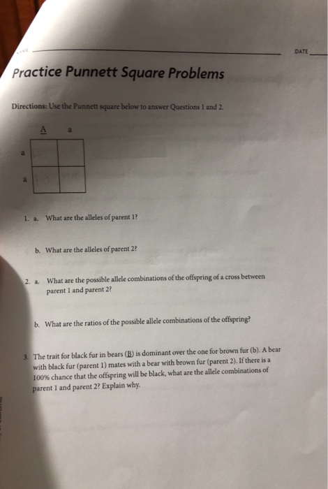 Solved DATE Practice Punnett Square Problems Directions: Use | Chegg.com