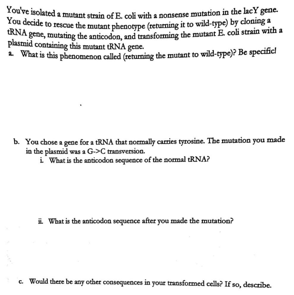 You've isolated a mutant strain of E. coli with a | Chegg.com