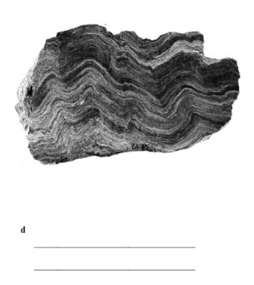 Solved Part I: Classifying folds in hand sample 1. Figure | Chegg.com