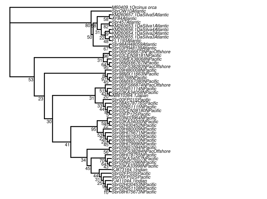 Solved Create a map of phylogeographic patterns Step 1. Open | Chegg.com