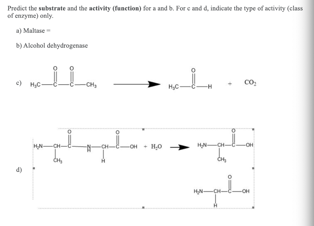 Solved Predict the substrate and the activity (function) for | Chegg.com
