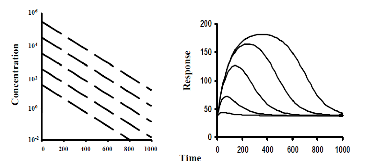Solved The figure below shows the plasma conc-time curves | Chegg.com