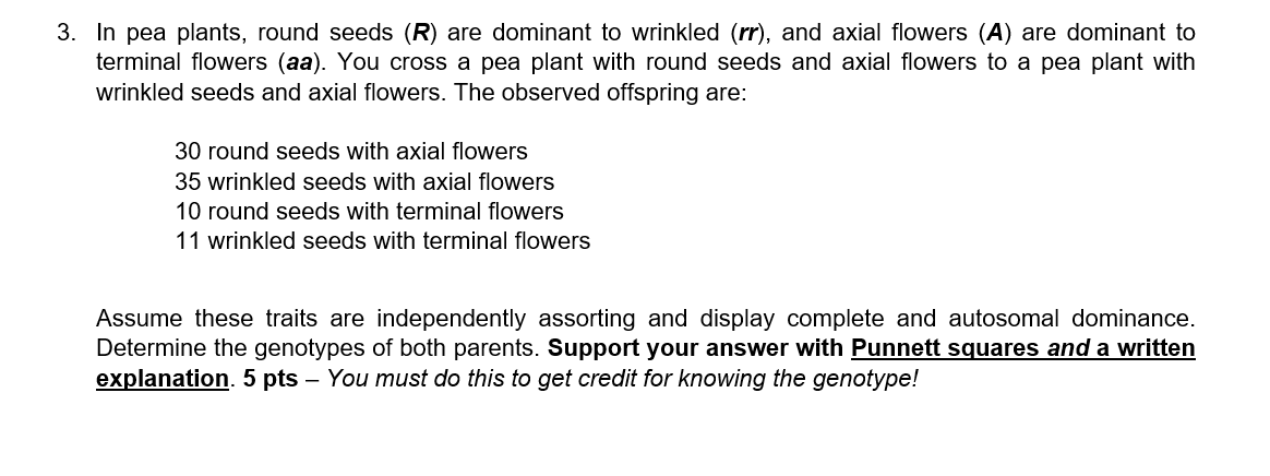 Solved In pea plants, round seeds (R) ﻿are dominant to | Chegg.com