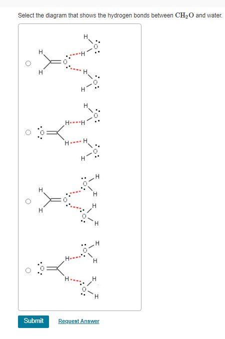 Solved Select the diagram that shows the hydrogen bonds | Chegg.com