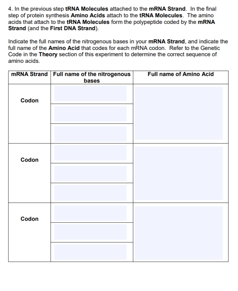 Solved DNA STRUCTURE AND PROTEIN SYNTHESIS Questions 1. | Chegg.com