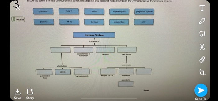 Move the terms into the correct empty boxes to | Chegg.com