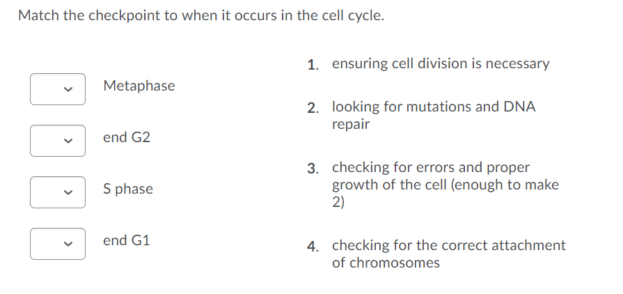 Solved Match the checkpoint to when it occurs in the cell | Chegg.com