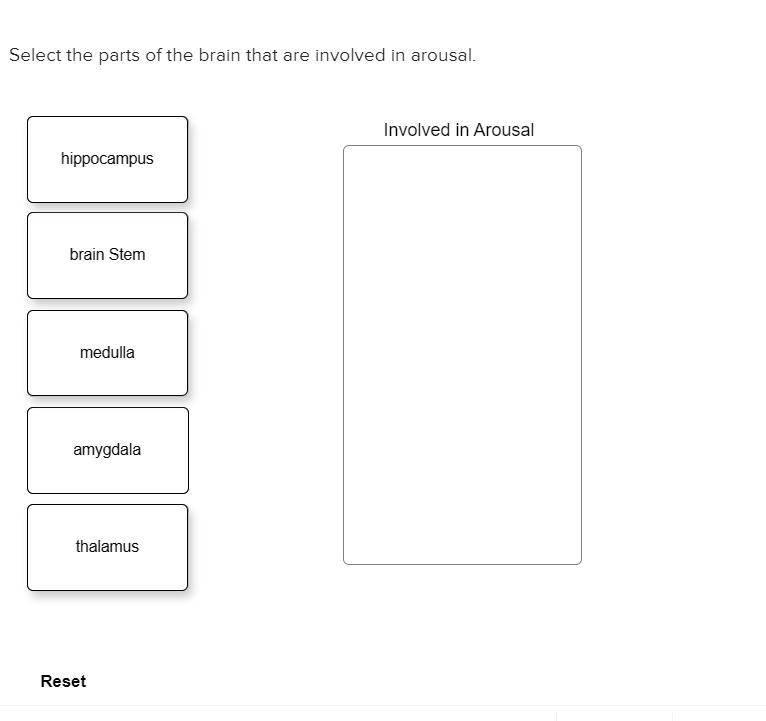 Solved Select the parts of the brain that are involved in | Chegg.com
