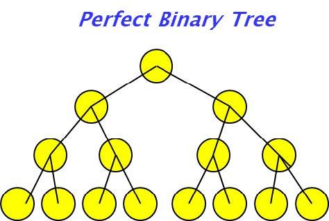 Solved A perfect binary tree looks like the following. It is | Chegg.com