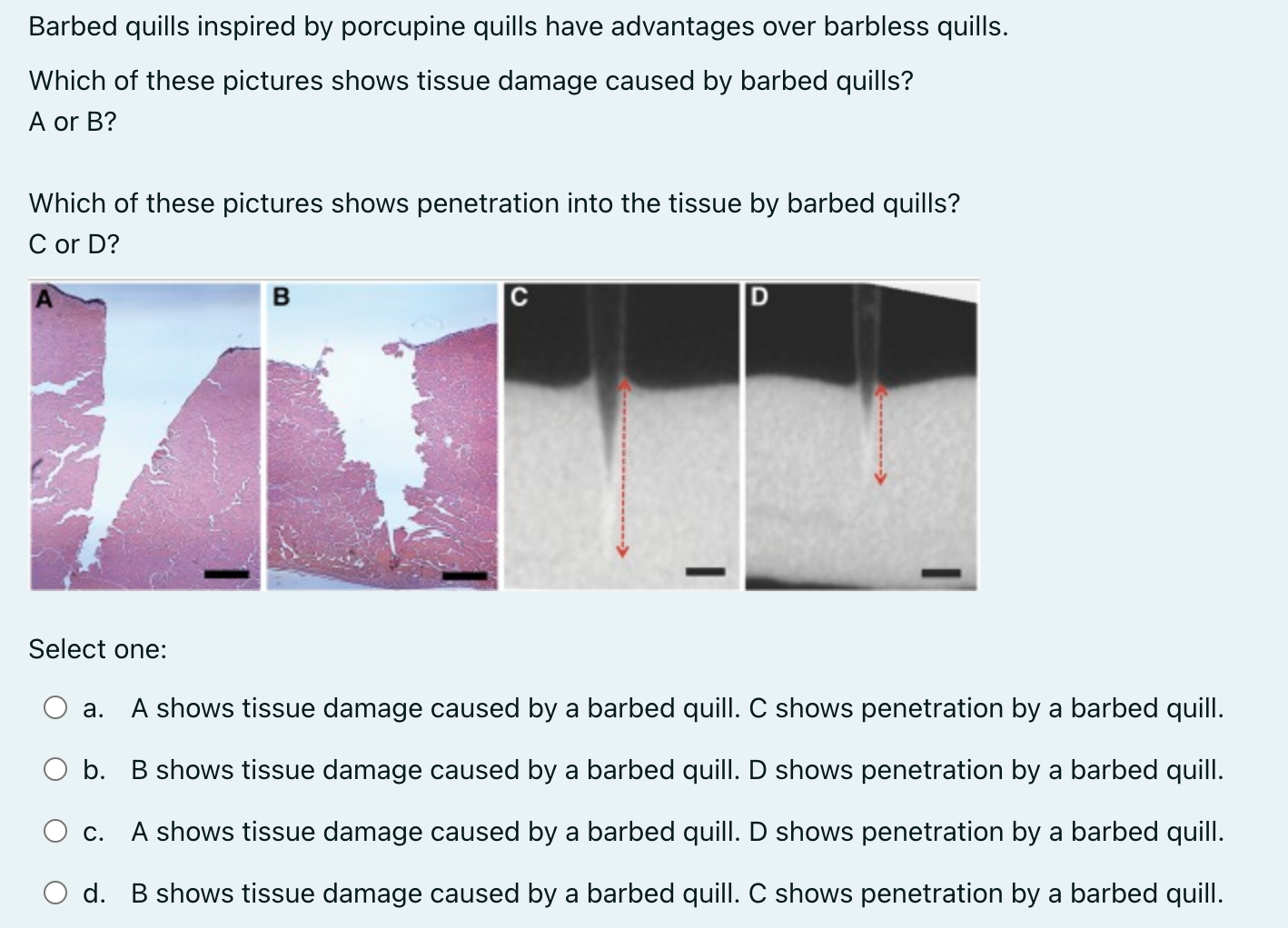 Solved Barbed quills inspired by porcupine quills have | Chegg.com