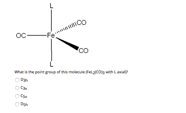 Solved L OC Fenico CO L What is the point group of this | Chegg.com