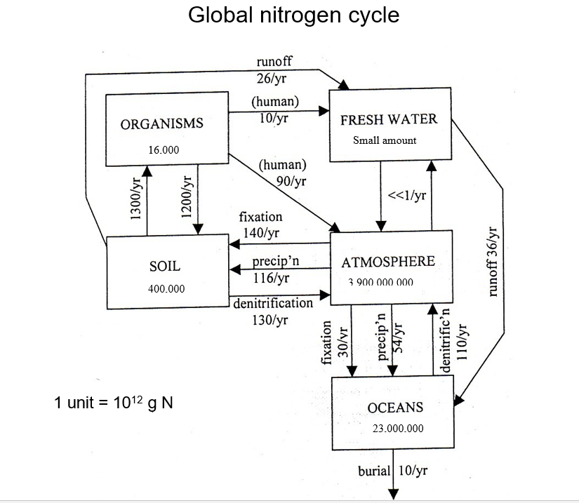 Solved Use the three nutrient cycles below (N, C, P) to | Chegg.com