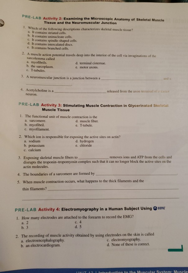 Solved PRE-LAB Activity 2: Examining the Microscopic Anatomy | Chegg.com