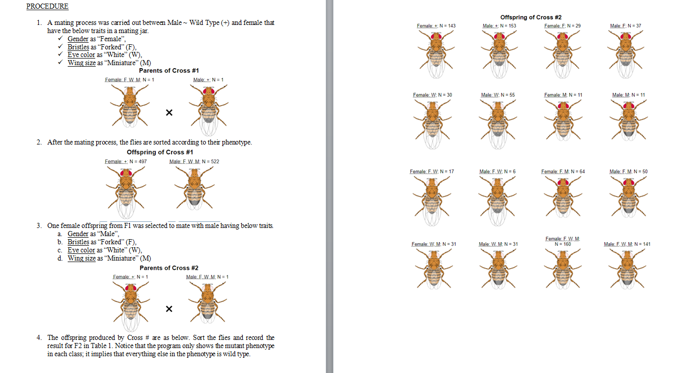 Solved OBEJECTIVE: 1. Learn and apply the principles of | Chegg.com