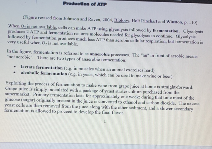 Solved Describe fermentation in 3 sentences. i just added | Chegg.com