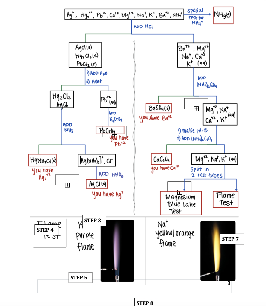Solved Experiment 5 Qualitative Analysis of Ag+, Pb2+, Hg22+ | Chegg.com