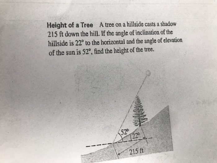 Solved Height of a Tree A tree on a hillside casts a shadow | Chegg.com