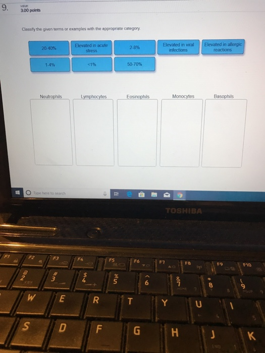 Solved 300 Points Classily The Given Terms Or Examples With