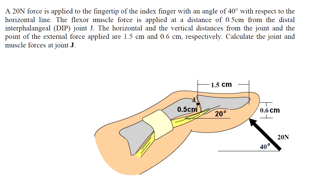 Solved A 20N force is applied to the fingertip of the index | Chegg.com