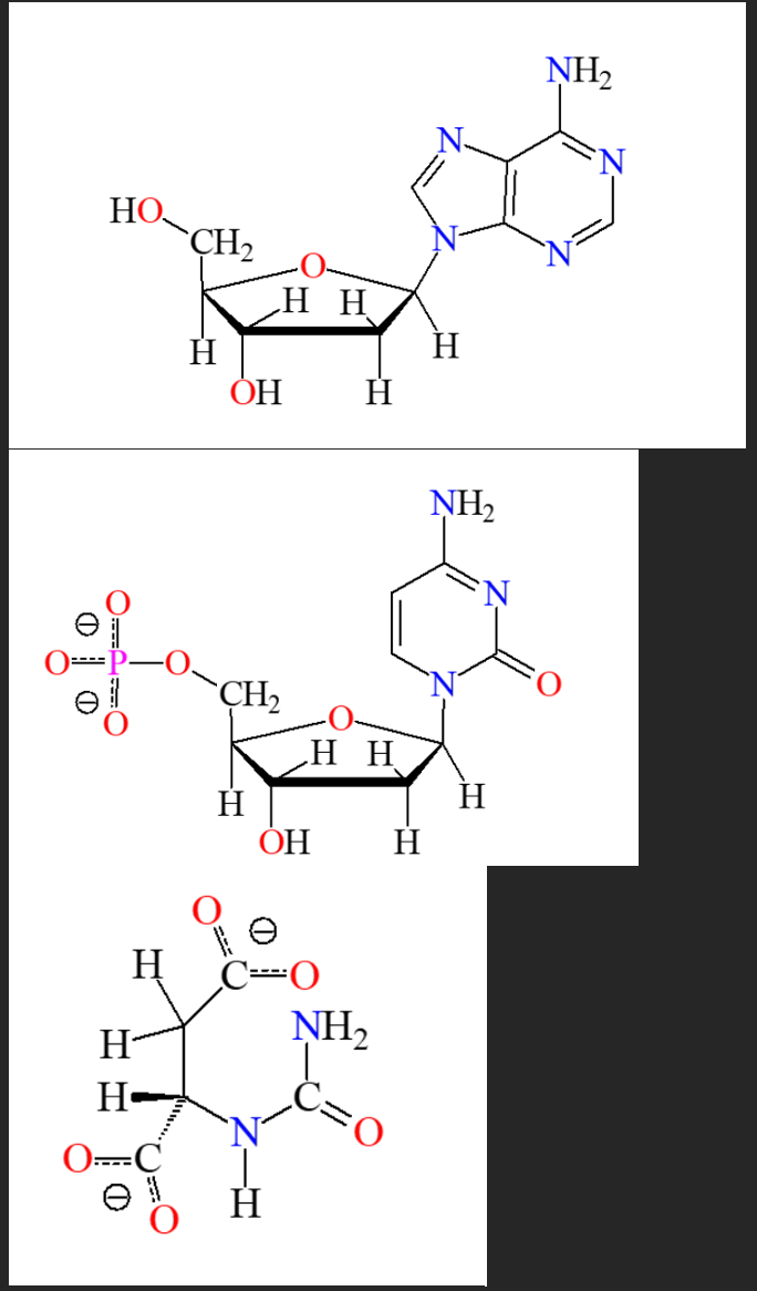 Solved ŅH2 НО, CH2 H H 1- H OH H ŅH om OO CH2 H H H OH H H H | Chegg.com