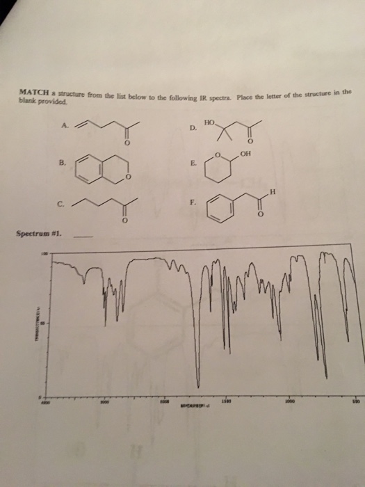 Solved MATCH a structure from the list below blank provided. | Chegg.com