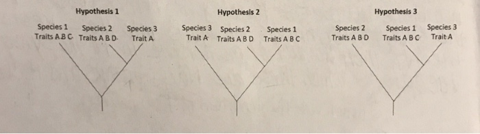 Solved 56. Which tree below has the maximum parsimony based | Chegg.com
